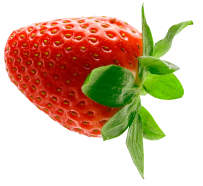 Fruitzy Morango - Casal Garcia